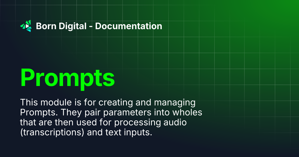 Prompts | Born Digital - Documentation